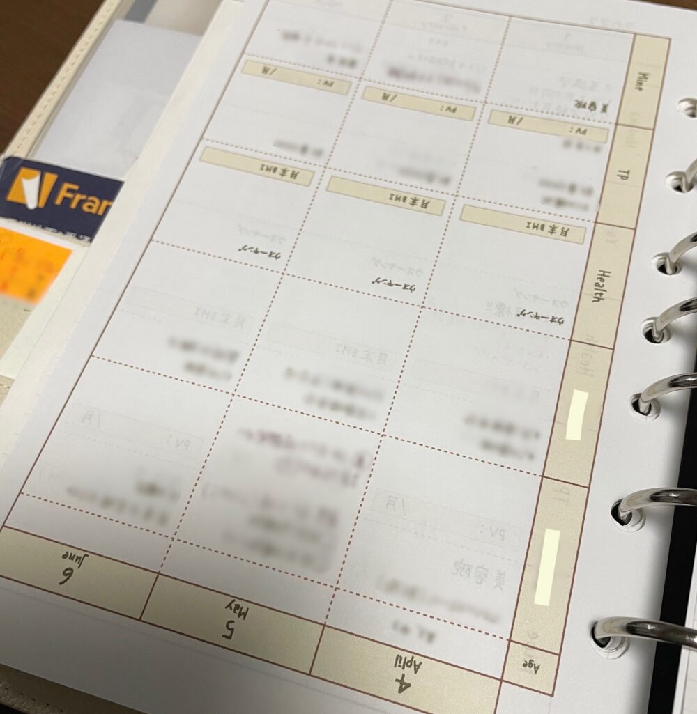 リフィルダウンロード｜A5システム手帳【1年計画3か月ごと】 | Tack Planner